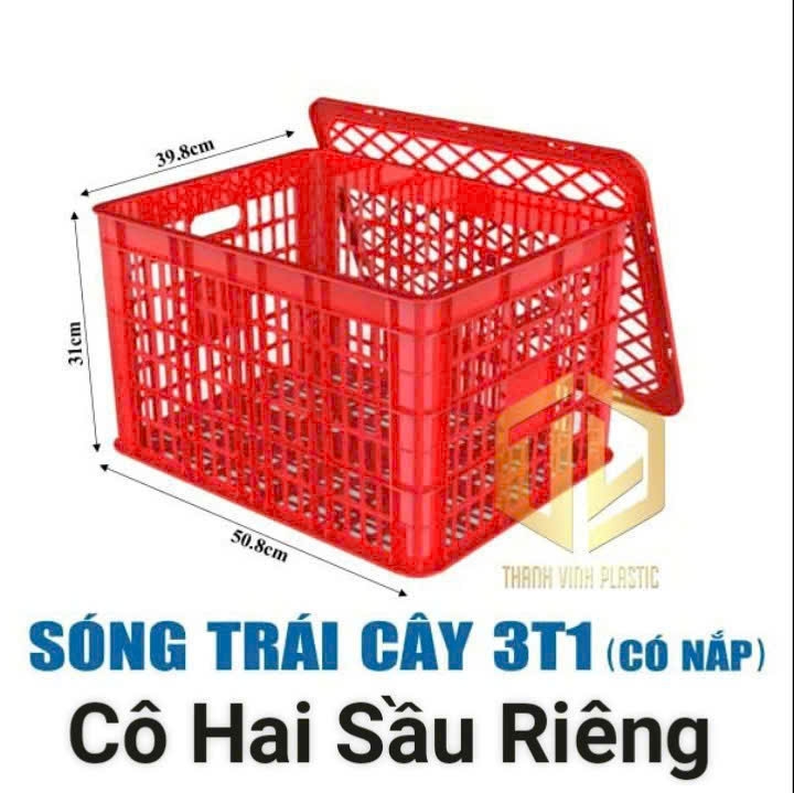 Sóng Trái Cây 3T1 (Có nắp)